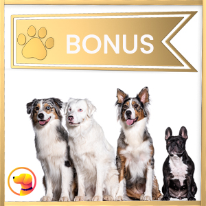 Dog Nutrition Solutions Series - AVAIYA