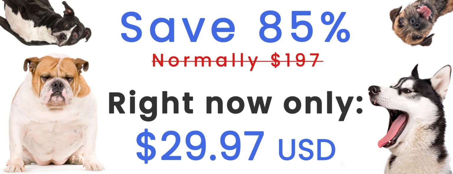 Dog Behavior Solutions Series - AVAIYA